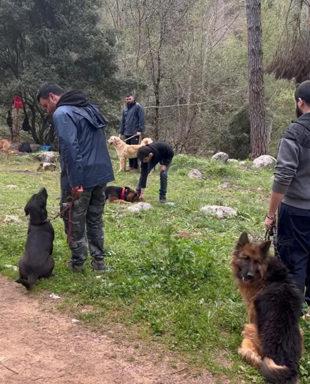 Dog Training in Lebanon: Amir x GMAP - Charity Shop by GMAP